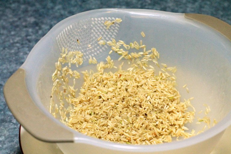 Warm Rice and Lentil Salad - Real: The Kitchen and Beyond