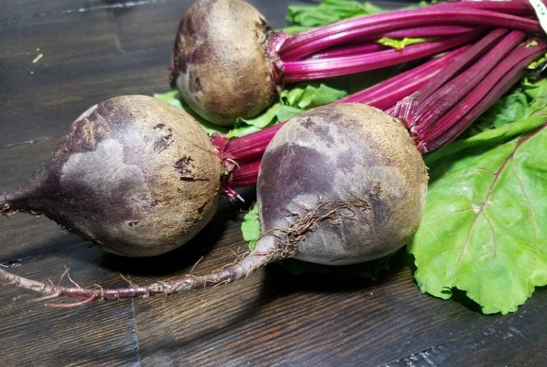 Everything You Need to Know About Beets – Real: The Kitchen and Beyond